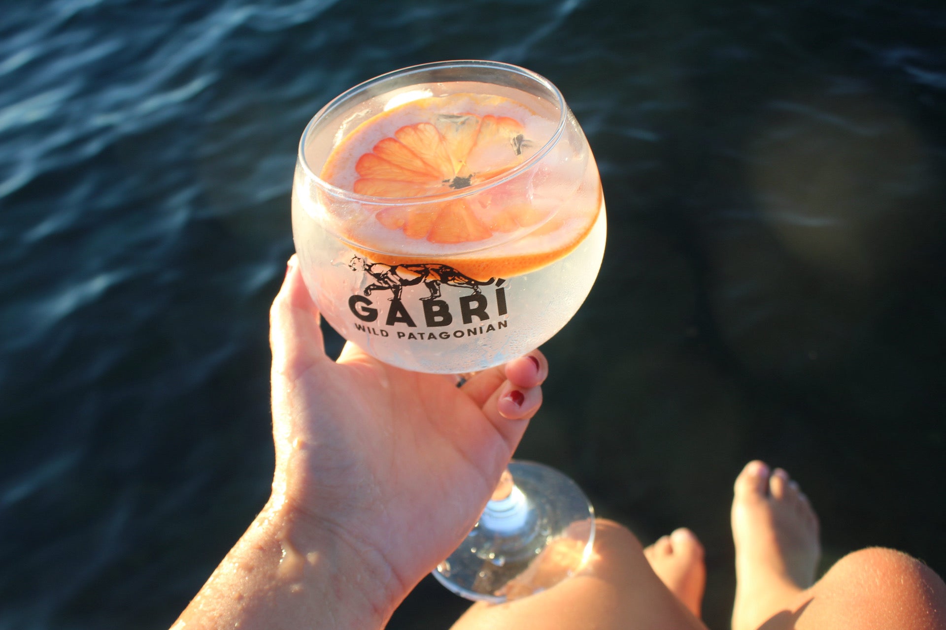 Gin: 10 Ideas para lograr el maridaje perfecto – Gin Gabri