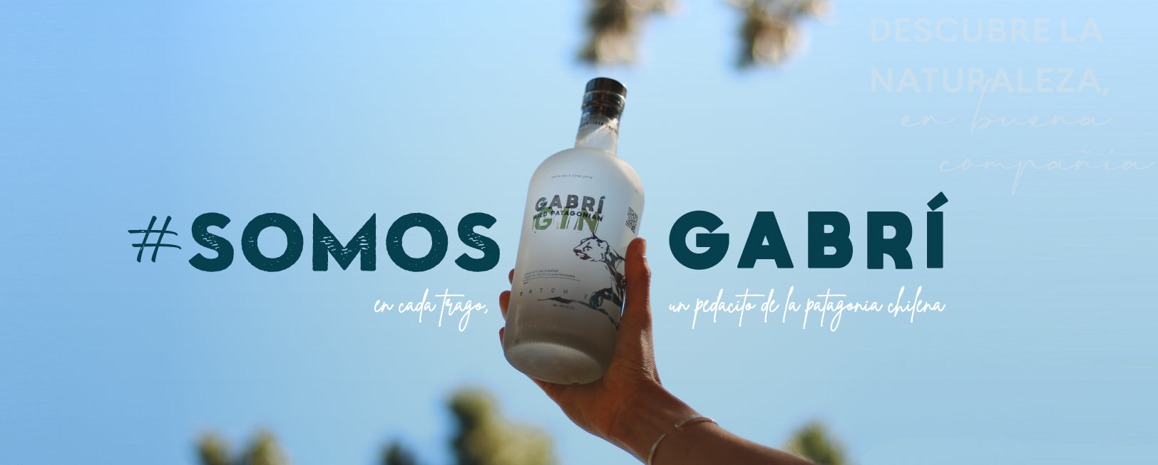 Gin & Vodka Gabrí Patagonia – Gin Gabri